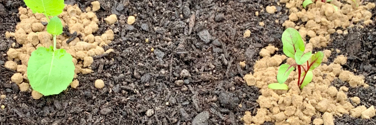 How To Use Wool Pellets – Cozy Crops