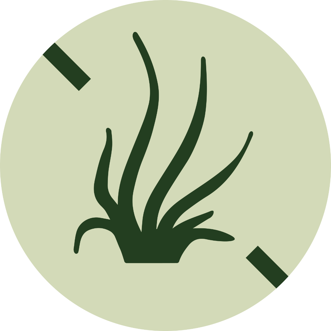 Cozy Crops - NZ Wool Pellets - Wool Mulch