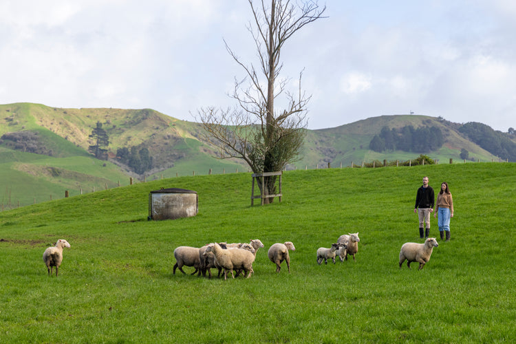 Our Story – Cozy Crops