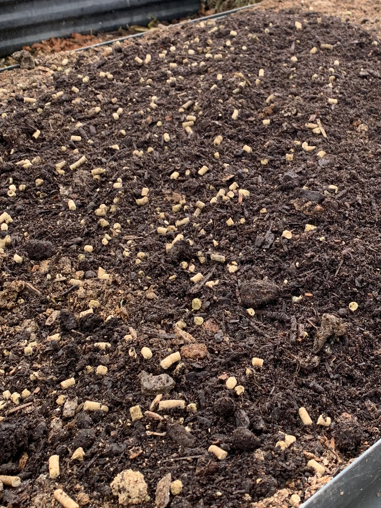 How To Use Wool Pellets – Cozy Crops